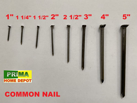 Prima Home Depot | Common Nail (Pako)