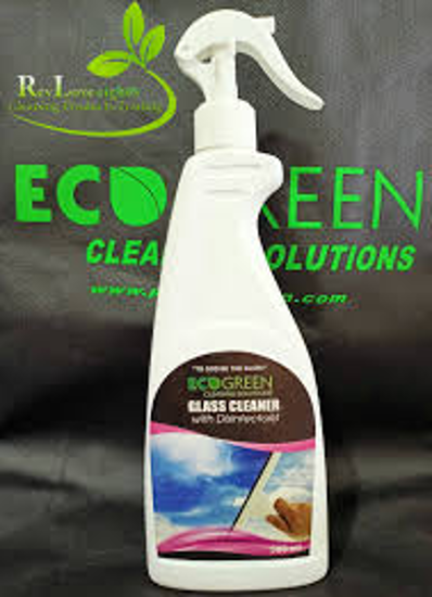 Prima Home Depot | EcoGreen Glass Cleaner(500ml)