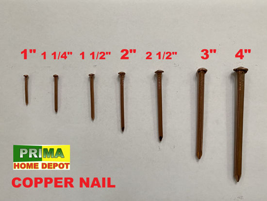 Prima Home Depot | Copper Nail