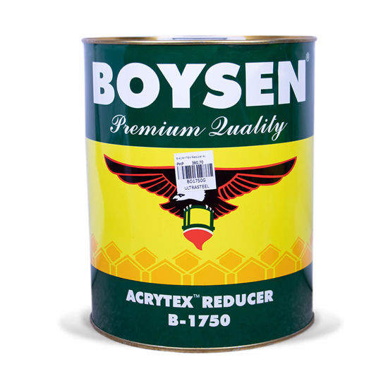 Prima Home Depot | Boysen Acrytex Reducer - 1 Gallon